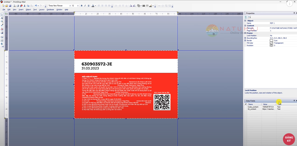 Download PrintShop Mail 6 Miễn Phí Link Drive - natuhai.com